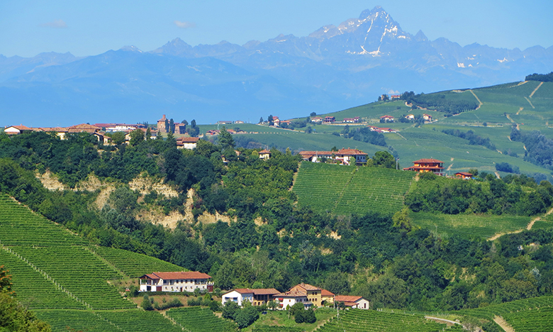 Piedmont Barolo Bike Tour | DuVine Adventures