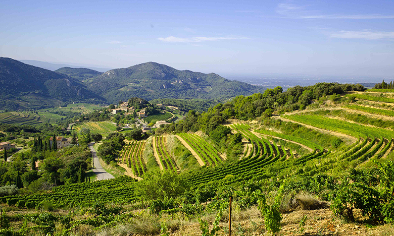 9 of the Most Beautiful Vineyards in France - DuVine