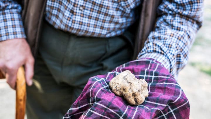 Global Peruvian Food Influences | DuVine