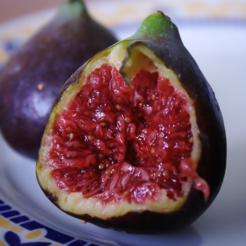 Sonoma Wine Bike Tour with Lentine Alexis | DuVine